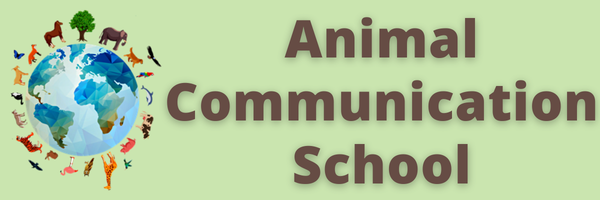 Animal Communication School ~ Maia Kincaid